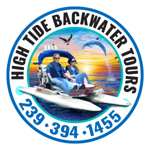 High Tide Backwater Tours